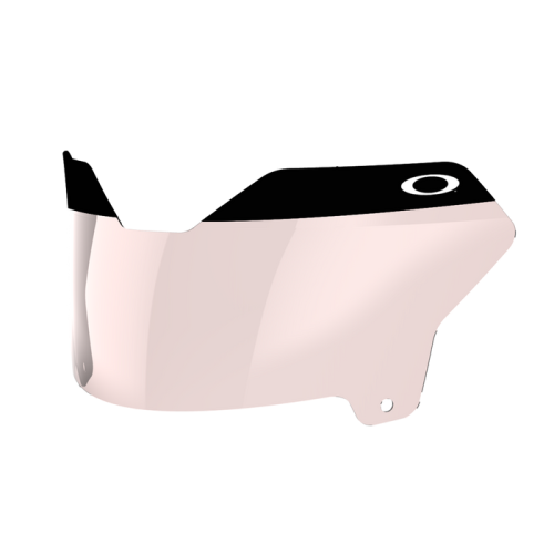 Oakley prizm visor store