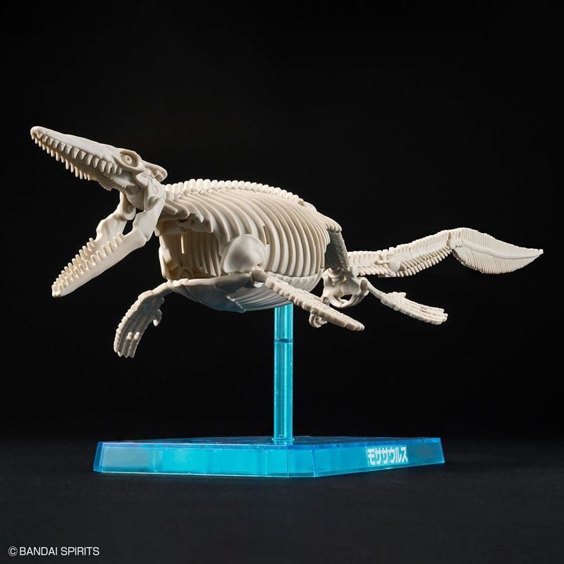 ◇モササウルス 顎骨 化石◇ベース無で50cm/スピノサウルス 潔い ◇モササウルス 顎骨 化石◇ベース無で50cm/スピノサウルス 潔い