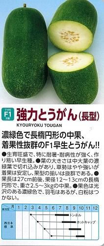 強力とうがん(長型) - オガワのタネ オンラインショップ 強力とうがん(長型) - オガワのタネ オンラインショップ