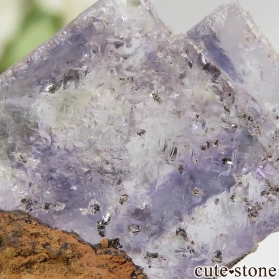 メキシコ Ojuela Mine (オハエラ)産 フローライトの原石 No.4 メキシコ Ojuela Mine (オハエラ)産 フローライトの原石 No.4