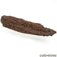 ペトリファイドウッド(珪化木)の意味・鉱物辞典 cute stone ペトリファイドウッド(珪化木)の意味・鉱物辞典 cute stone