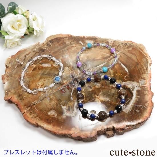 ペトリファイドウッド(珪化木)のスライス No.8 - cute stone - ペトリファイドウッド(珪化木)のスライス No.8 - cute stone -