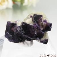 cute stone |アイテムの検索(0円~3,000円) のアイテム cute stone |アイテムの検索(0円~3,000円) のアイテム