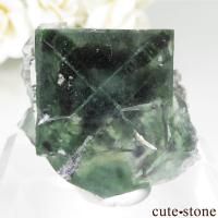 cute stone |アイテムの検索(7,001円~10,000円) cute stone |アイテムの検索(7,001円~10,000円)
