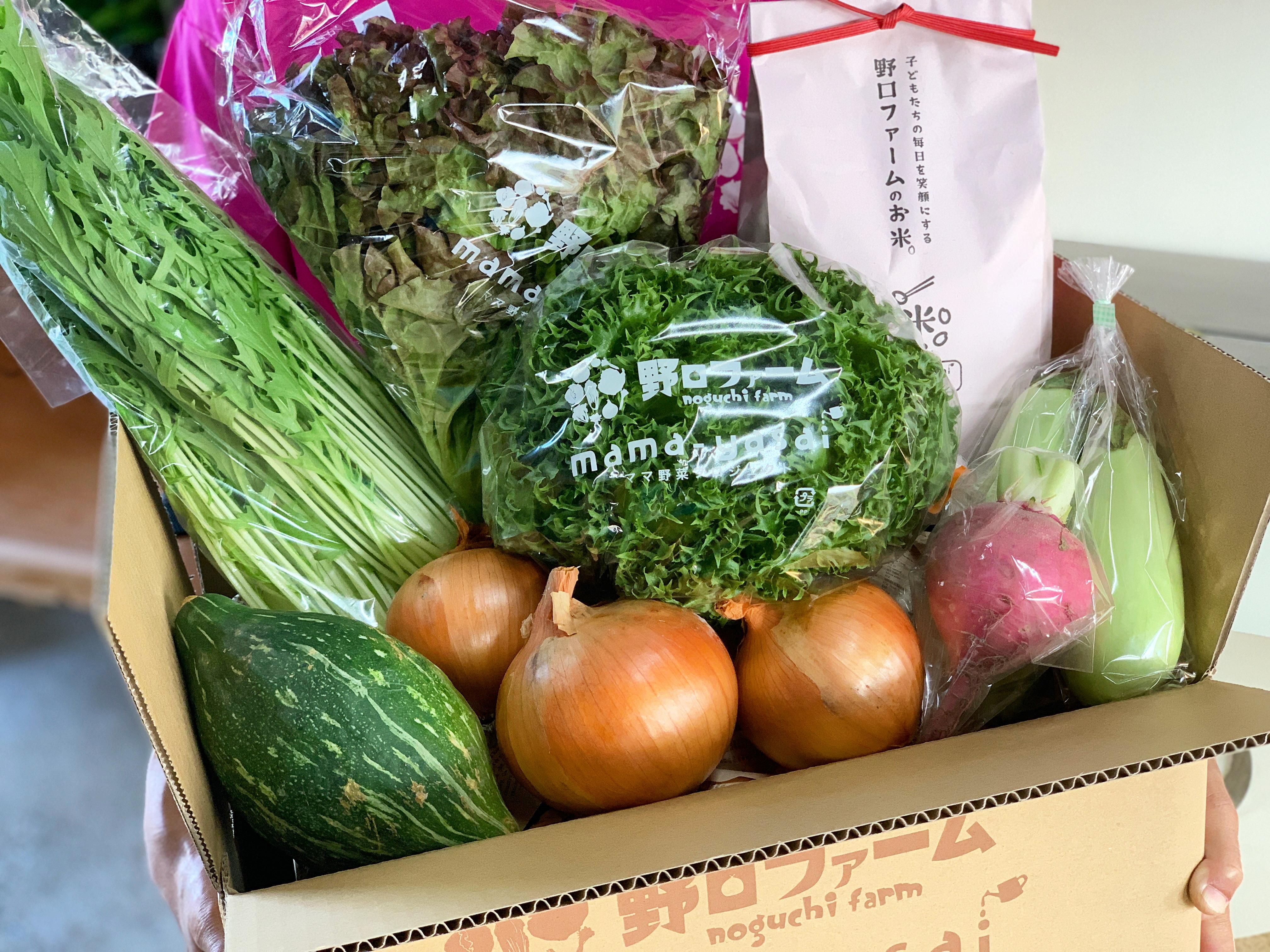 旬のおかわり野菜セット | mama-yasai - 野口ファーム Online-shop 旬のおかわり野菜セット | mama-yasai - 野口ファーム Online-shop