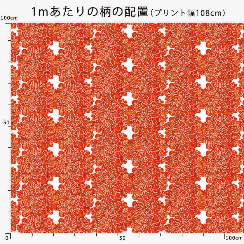 情熱(ブルー)花柄- 布・生地の通販サイト:nunocoto fabric 情熱(ブルー)花柄- 布・生地の通販サイト:nunocoto fabric