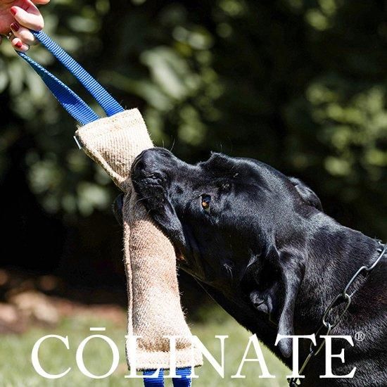 中型犬・大型犬・超大型犬用 噛むおもちゃ【バイトタグ】正規品 中型犬・大型犬・超大型犬用 噛むおもちゃ【バイトタグ】正規品