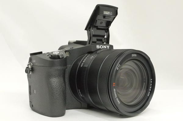 ソニー Cyber-shot RX10Ⅳ (DSC-RX10M4) 電池2個付 保証書付 ソニー Cyber-shot RX10Ⅳ (DSC-RX10M4) 電池2個付 保証書付