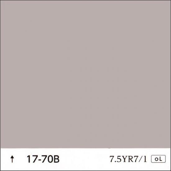 日塗工 17-70B 淡彩 - ロックペイントの塗料の調色・見本合わせの通販なら【調色一番】
