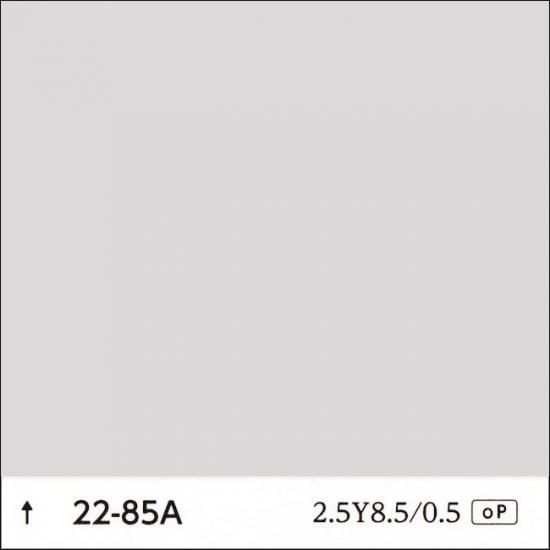 日塗工 22-85A 淡彩 - ロックペイントの塗料の調色・見本合わせの通販なら【調色一番】