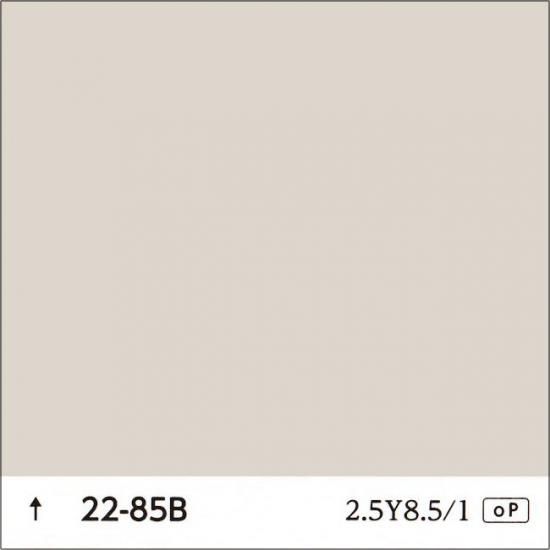 日塗工 25-85B 淡彩 - ロックペイントの塗料の調色・見本合わせの通販なら【調色一番】