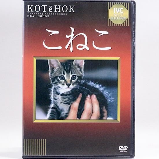 こねこ（DVD） - HANAMUGURI