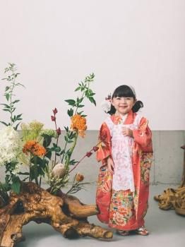 女の子 着物レンタル - Codorait キッズドレス 七五三 女の子 着物レンタル - Codorait キッズドレス 七五三