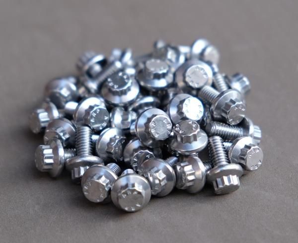 Meryken Customs ARP Custom License Plate Bolts 2pcs