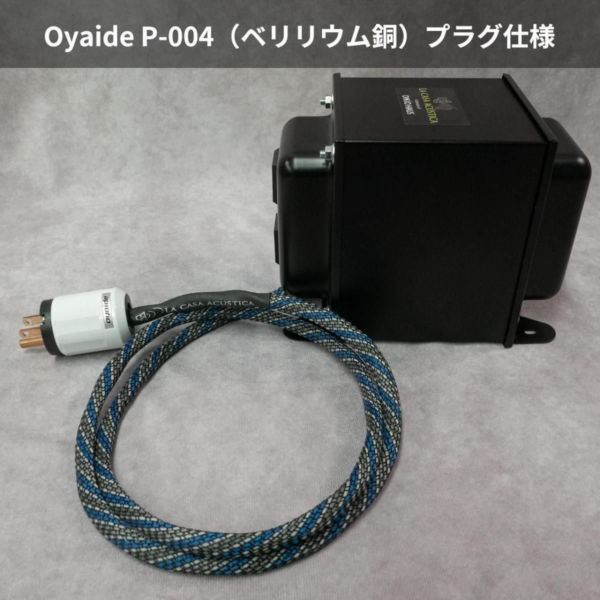 ニューバージョン! ステップアップ アイソレーション トランス ニューバージョン! ステップアップ アイソレーション トランス