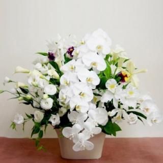 お悔み・お供え - すみれ花店 Online Shop お悔み・お供え - すみれ花店 Online Shop