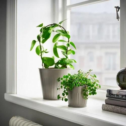 IKEA イケア 鉢カバー 室内 屋外用 グレー 9cm m50574190 IKEA イケア 鉢カバー 室内 屋外用 グレー 9cm m50574190