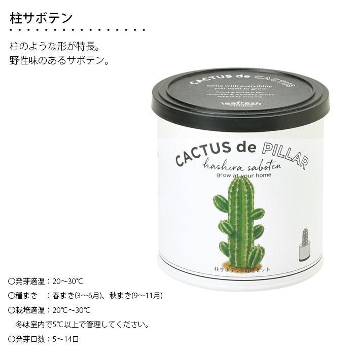 栽培キット 室内 サボテン CACTUS de CACTUS カクタスdeカクタス 栽培キット 室内 サボテン CACTUS de CACTUS カクタスdeカクタス