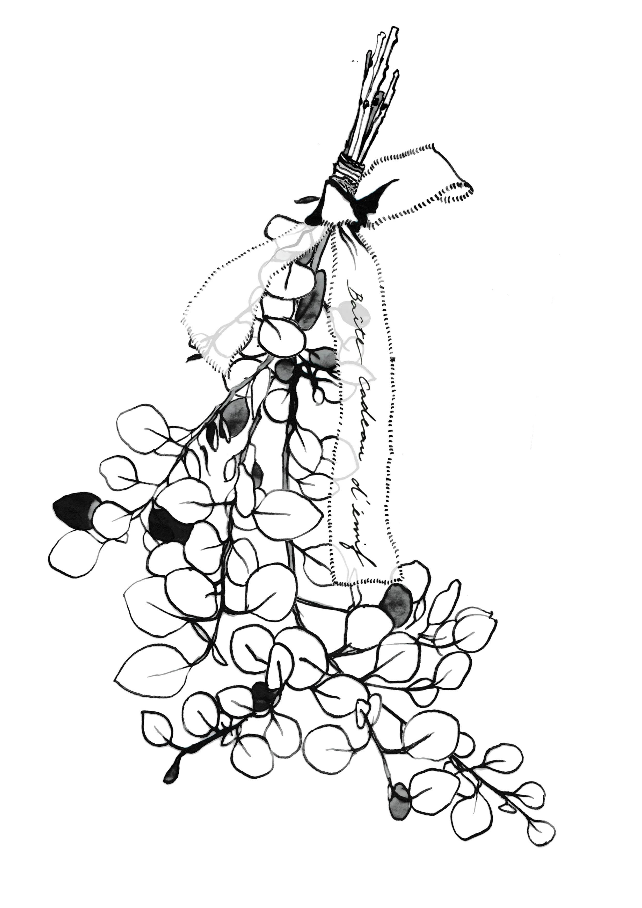 【2月下旬頃発送分】デイジー缶 M - emif