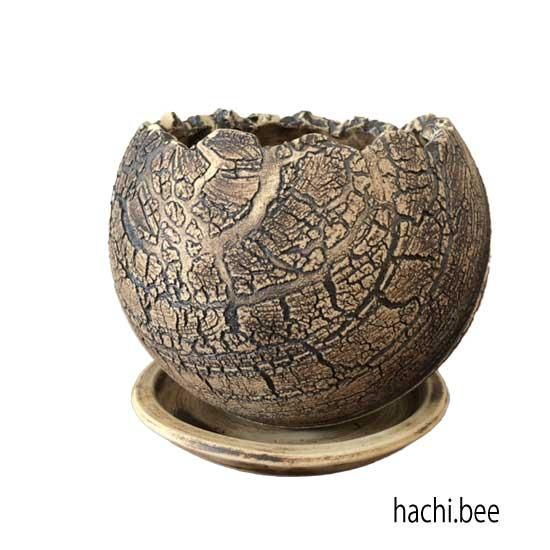 信楽焼植木鉢 信楽焼植木鉢