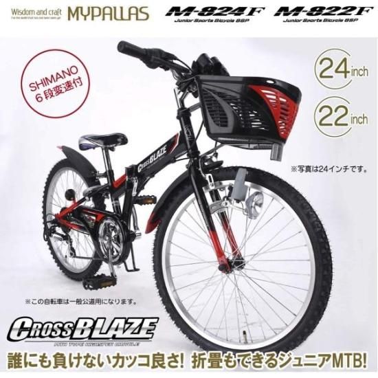ブリヂストン リコリーナ 子ども用 自転車22インチ(子供用 ブリヂストン リコリーナ 子ども用 自転車22インチ(子供用