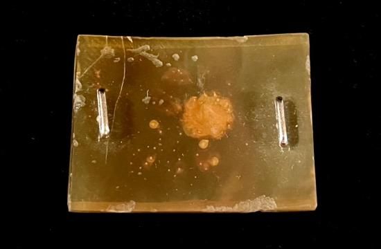 薔薇図 本鼈甲に螺鈿細工・銀象嵌・蒔絵 本珊瑚 帯留」 - 正尚堂 薔薇図 本鼈甲に螺鈿細工・銀象嵌・蒔絵 本珊瑚 帯留」 - 正尚堂
