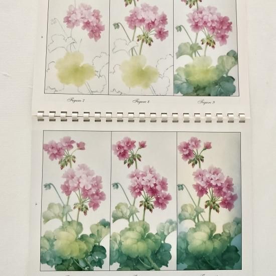 A Floral Variety” ポーラコリンズのポーセレンペイントの本(未 A Floral Variety” ポーラコリンズのポーセレンペイントの本(未
